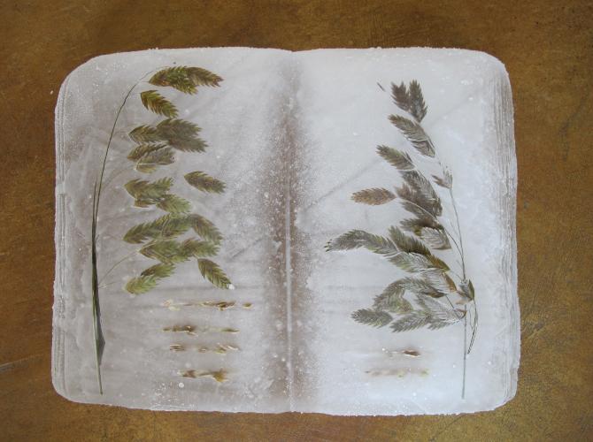 'Ice Books', Book-Shaped Ice Sculptures With Embedded Seeds That ...