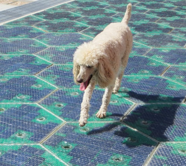 Solar Roadways, A Modular Paving System Comprised of Solar Panels