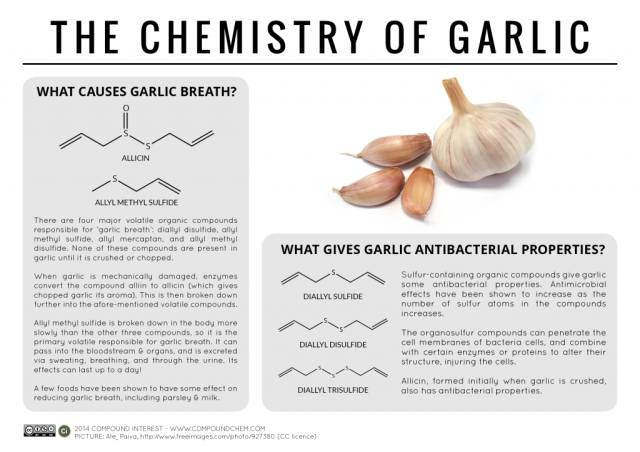 An Explanation of the Science Behind Garlic Breath