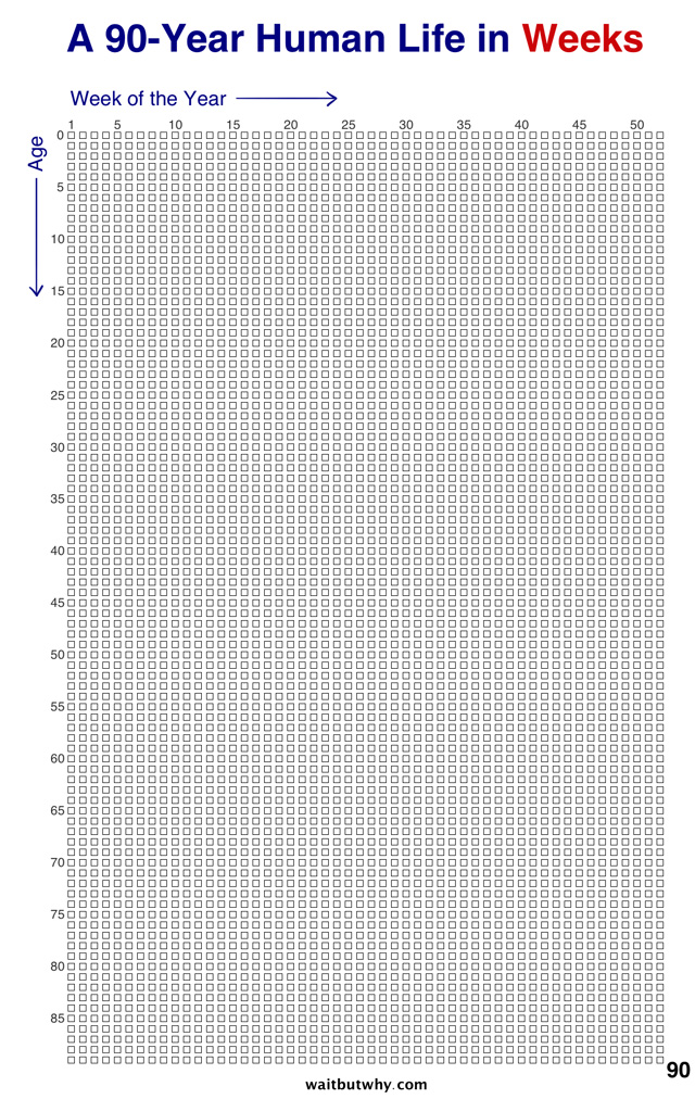 A Chart That Measures Human Life in Weeks