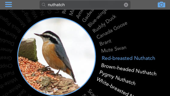 Birdsnap, A New Birdwatching App That Uses Computer Vision and Learning ...