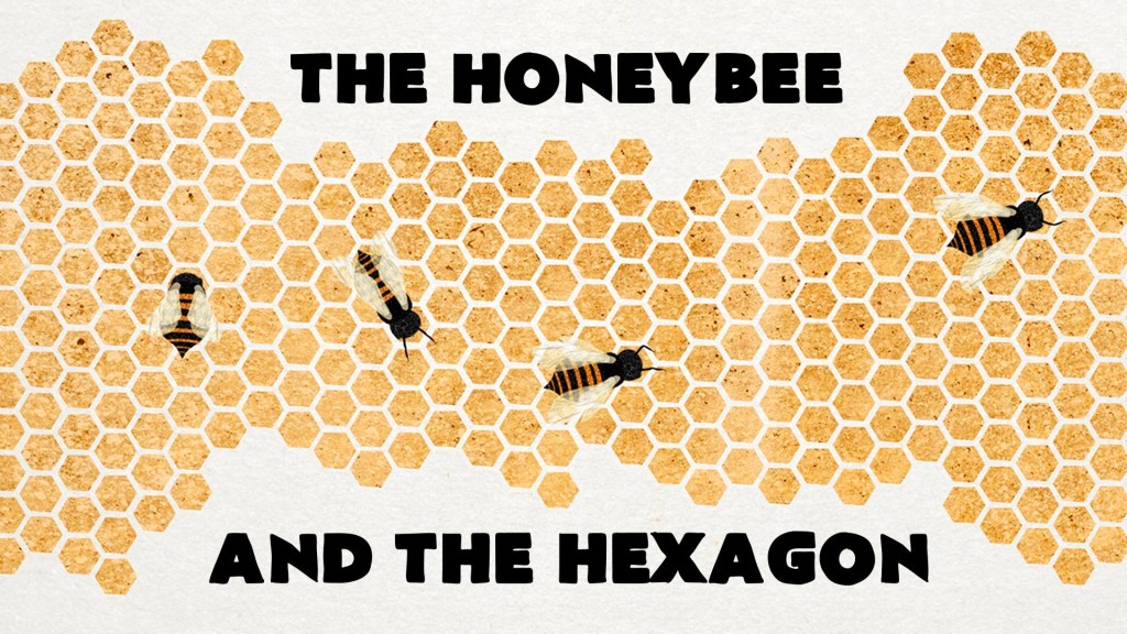 'The Honeybee and the Hexagon', A TED-Ed Animation About Why Bees Make ...