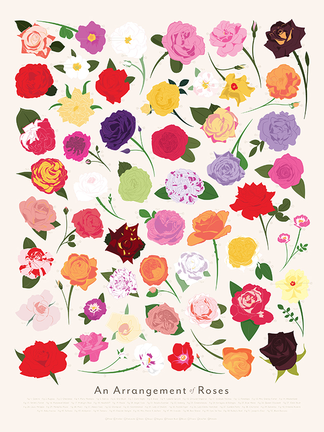 Art Prints of Arrangements of Peonies, Roses, Tulips, & Sunflowers ...
