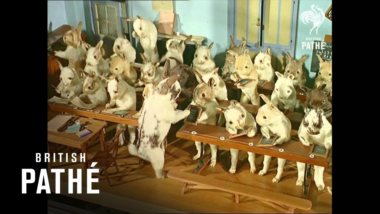 1965 Film About Mr. Potter's Museum of Curiosities