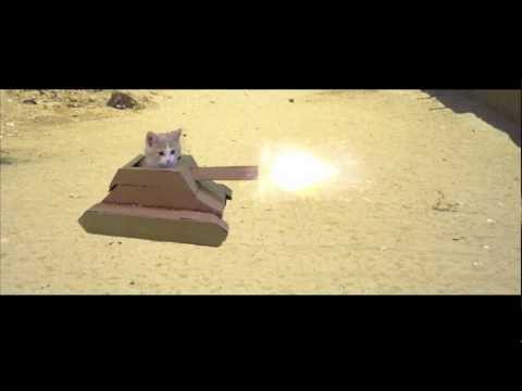 Cardboard Kitten Tank