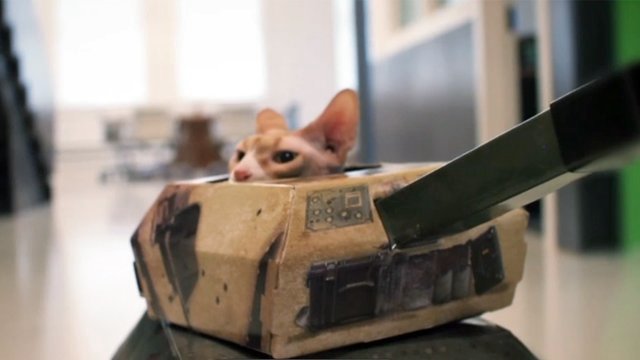Cats Driving Tanks