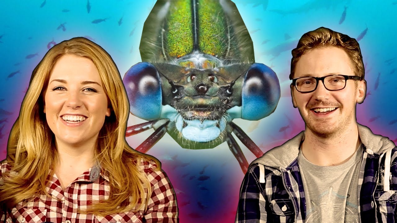 Earth Unplugged Explores What Happens If Sharks Become Extinct and ...