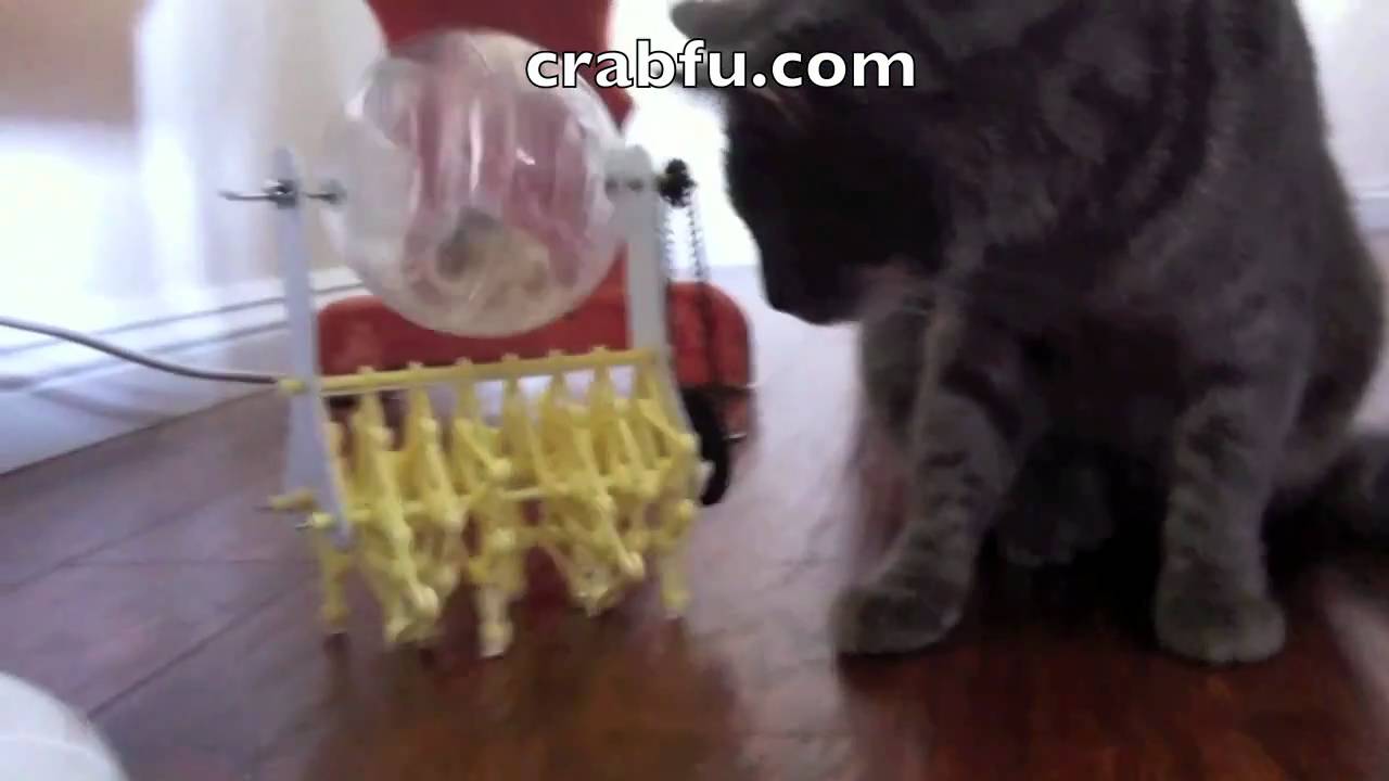 Hamster Powered Walker