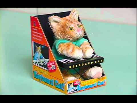 Keyboard Cat Toy