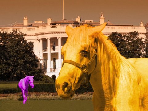My Little Pony, The Live Action-Film