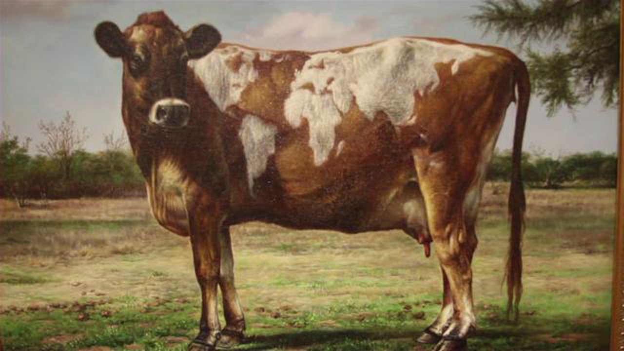 Neue Films Tour of Ron English's Status Factory