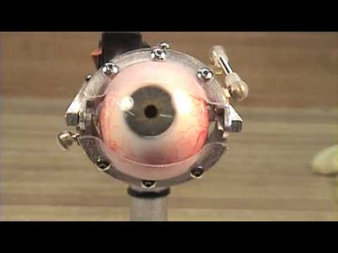 Realistic Animatronic Eye Mechanism