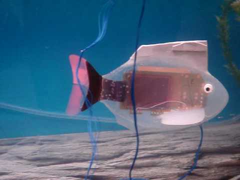 Robot Fish