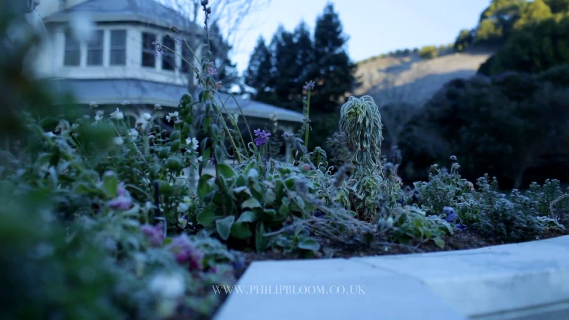 Skywalker Ranch, HD-DSLR Short By Philip Bloom