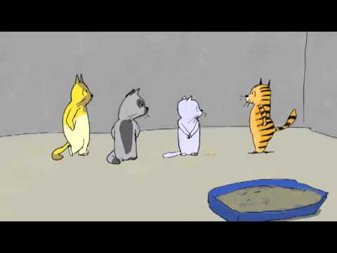 The Shelter Pet Project Presents Shelter Stories From Mutts