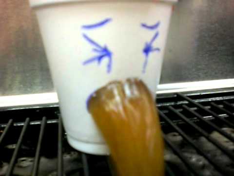 The Splendiferous Barfing Cup