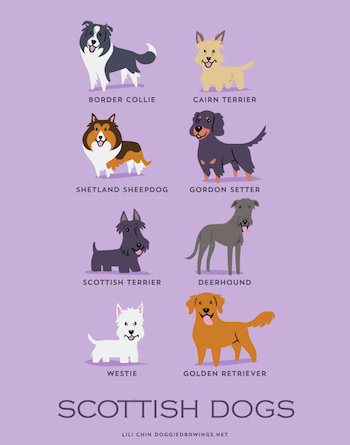 Artist Creates A Charming Illustrated Guide to the Dogs of the World ...