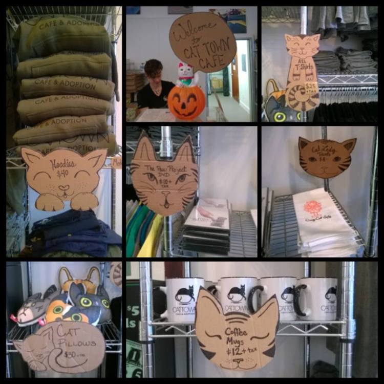 Cat Town Cafe, The First Operational Cat Cafe in the United States ...