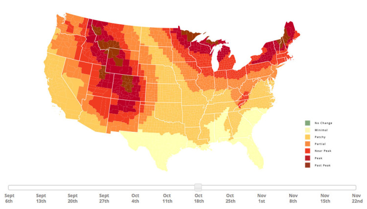 An Interactive 2014 Fall Foliage Map That Tracks the Progression of ...