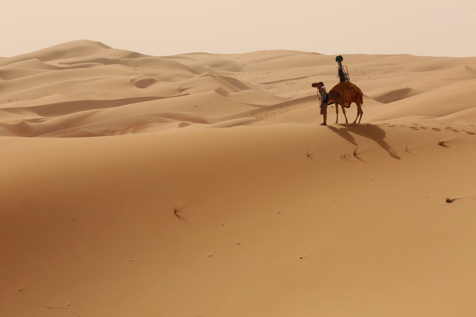 Google Maps Adds the Liwa Oasis and Desert to Street View After Using ...
