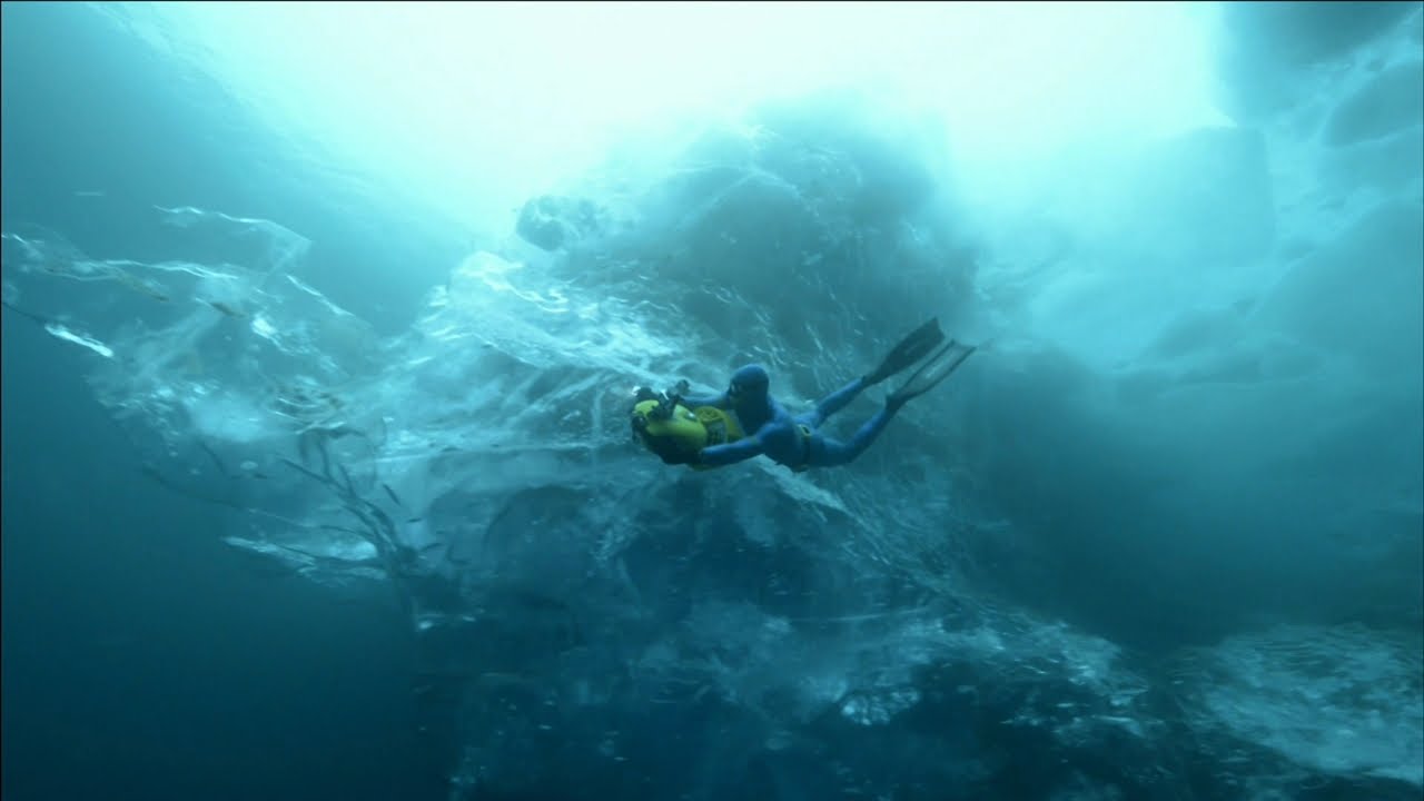 'Swimming With Icebergs', A Short Video About World Champion Freediver ...