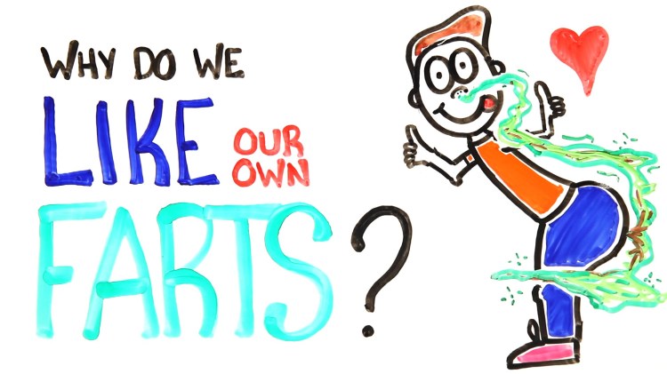 AsapSCIENCE Explains Why People Find Their Own Farts More Appealing ...