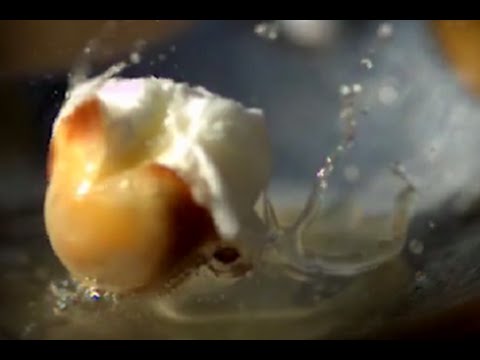 Close-Up Footage of Popcorn Kernels Popping in Super Slow Motion