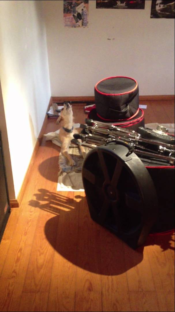 Dog Howls Along in Perfect Pitch With His Human's Saxophone