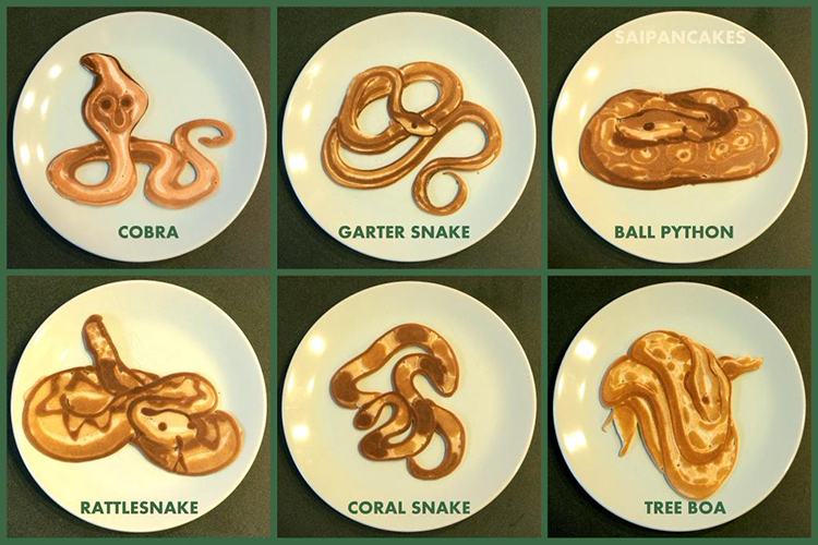 'Pansnakes', Pancake Sculptures Made in the Shapes of Venomous and ...