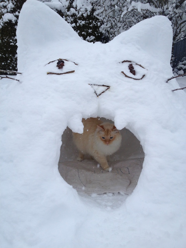 Creative Teenager Builds a Cat-Shaped Snow Fort For Her Beloved Cat