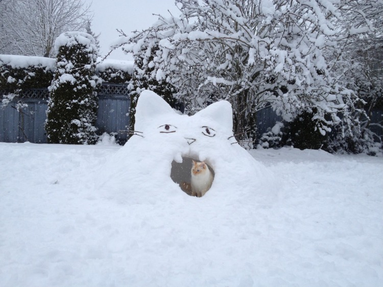 Creative Teenager Builds a Cat-Shaped Snow Fort For Her Beloved Cat