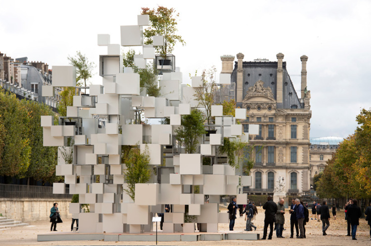Many Small Cubes, An Outdoor Installation of Aluminum Cubes and Live ...