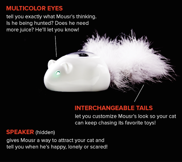 'Mousr', A Robotic Cat Toy That Uses Artificial Intelligence and ...