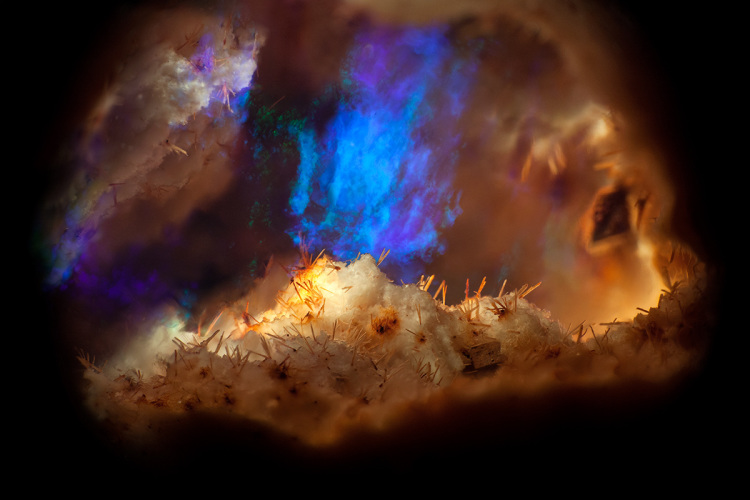 Photographs Taken With a Microscope Explore the Beautiful and Bizarre ...