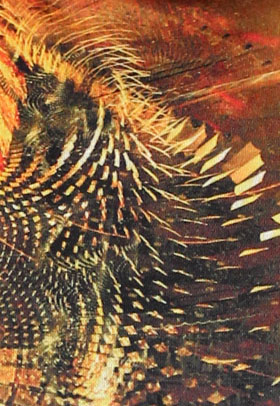 An Algorithmic Abstract Art T-Shirt Based on the Electric Sheep ...