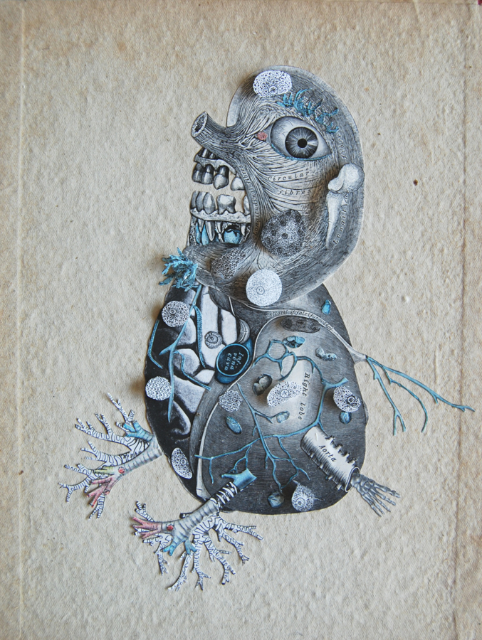 Artist Katie McCann Creates Delightfully Bizarre Creature Collages From ...