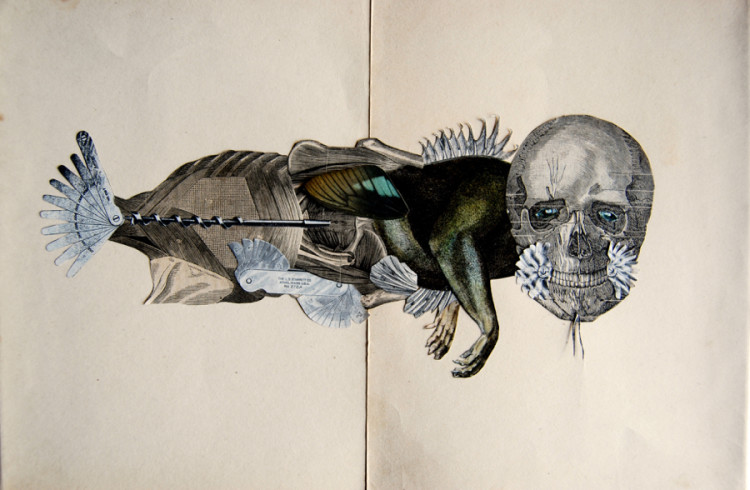 Artist Katie McCann Creates Delightfully Bizarre Creature Collages From ...