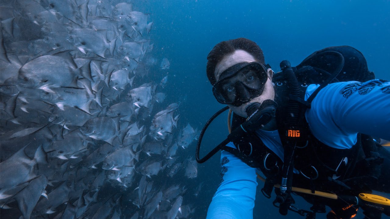 A Giant School of Fish Moves in Slow Formation Near an Artificial Reef ...