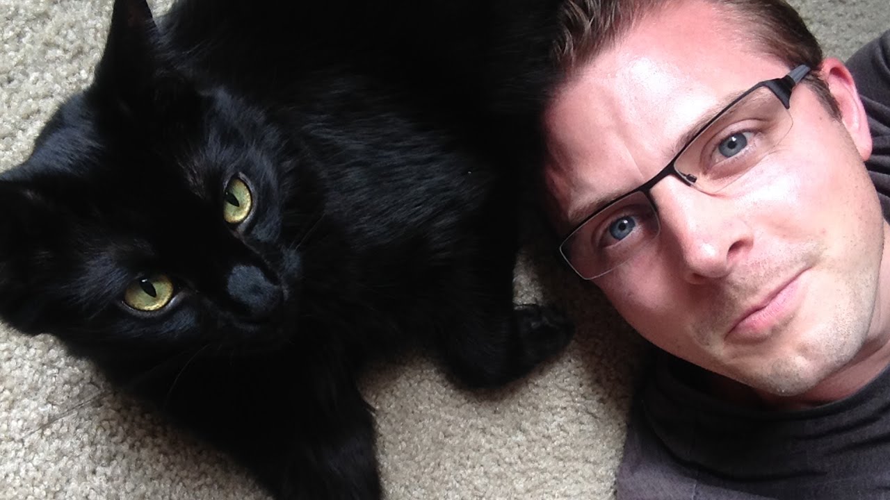 Cats Cole and Marmalade Explain the Visible Warning Signs That a Human ...