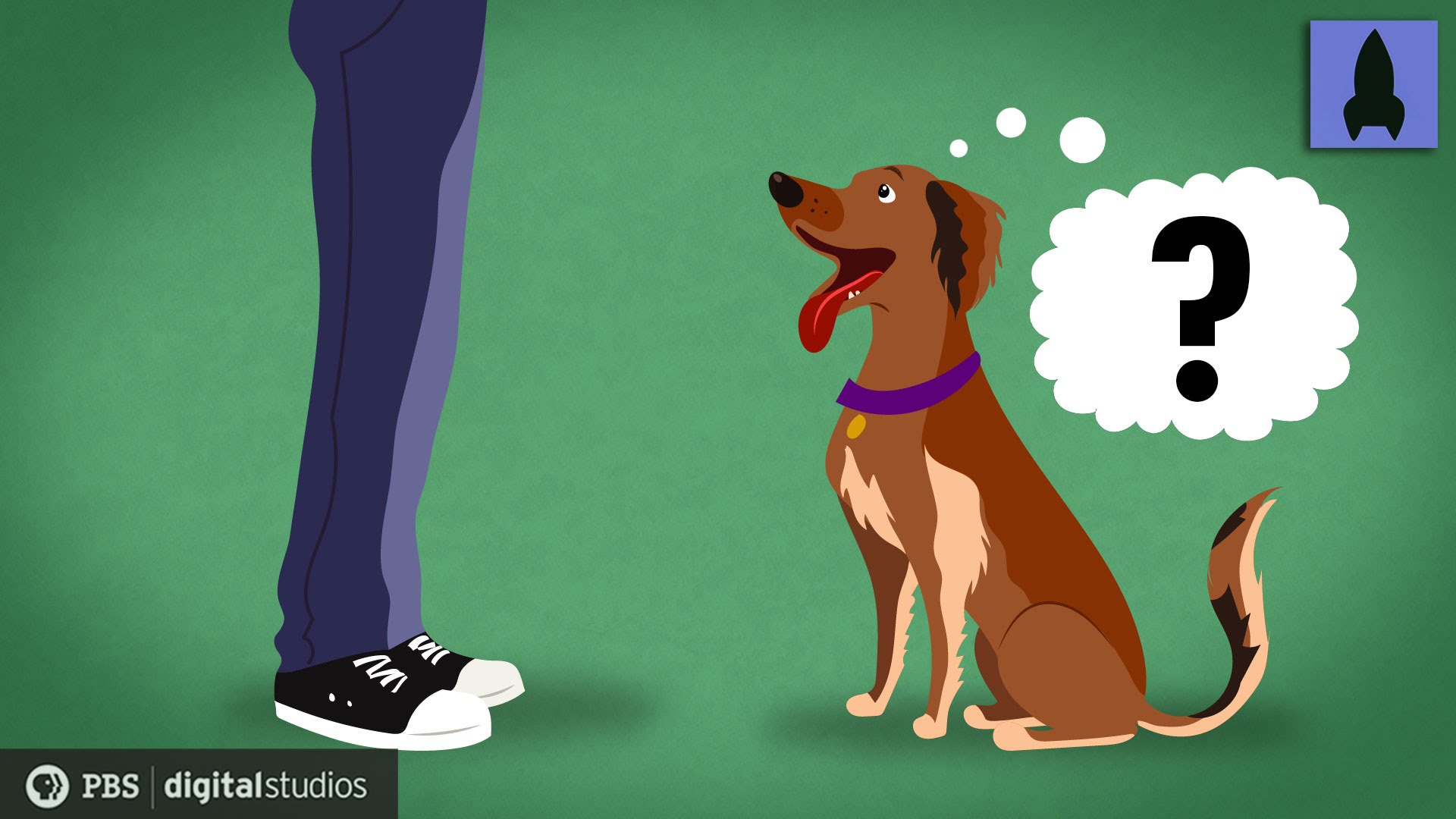 It’s Okay To Be Smart Explains How Dogs Interpret and Respond to Human ...