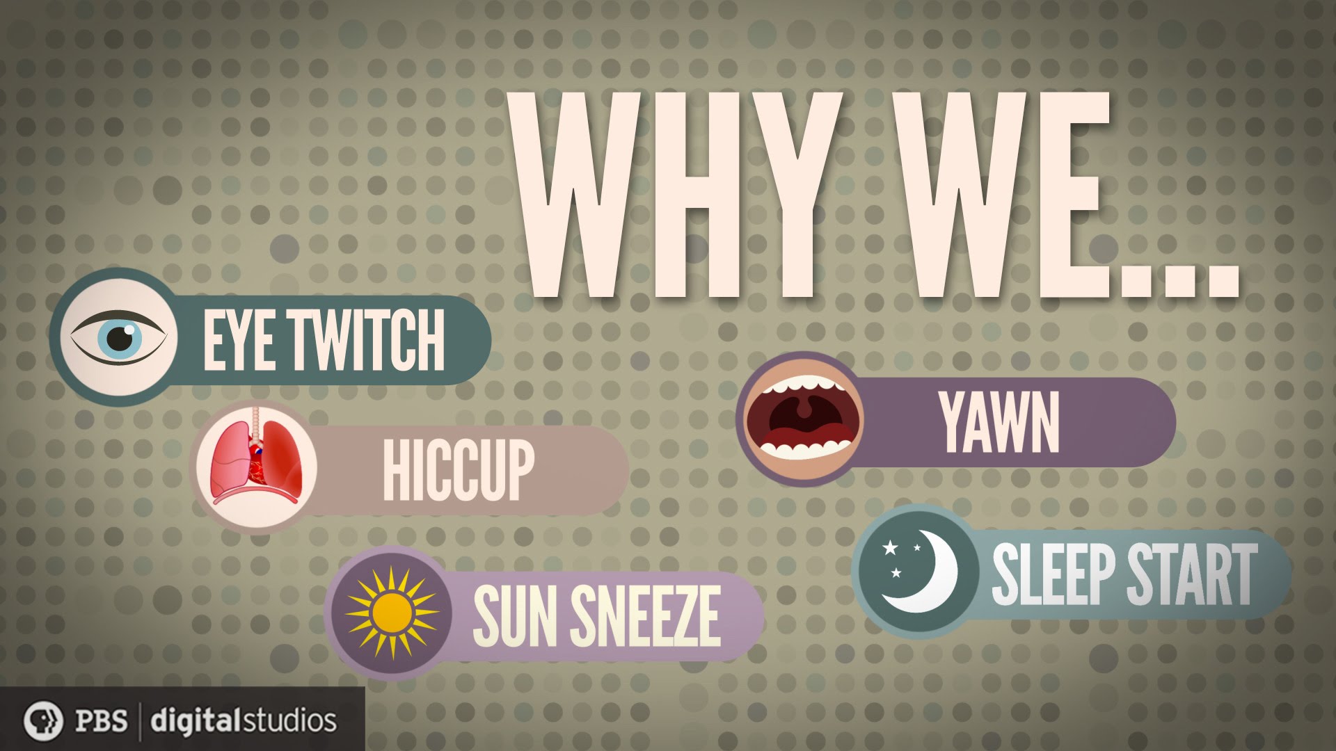 'It's Okay To Be Smart' Volunteers to Explain the Causes of Involuntary ...