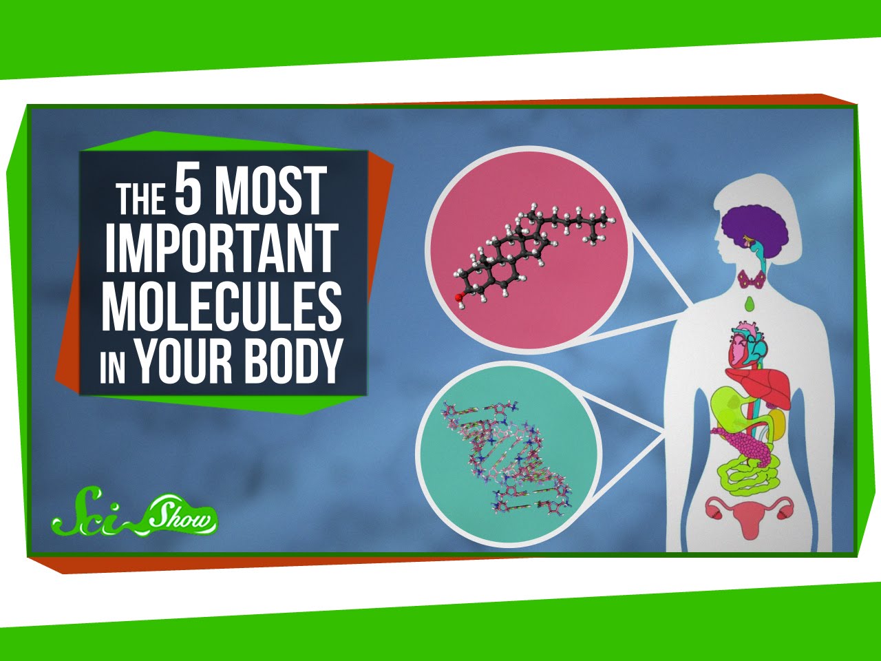 SciShow Takes a Look at Five of the Most Important Molecules in the ...