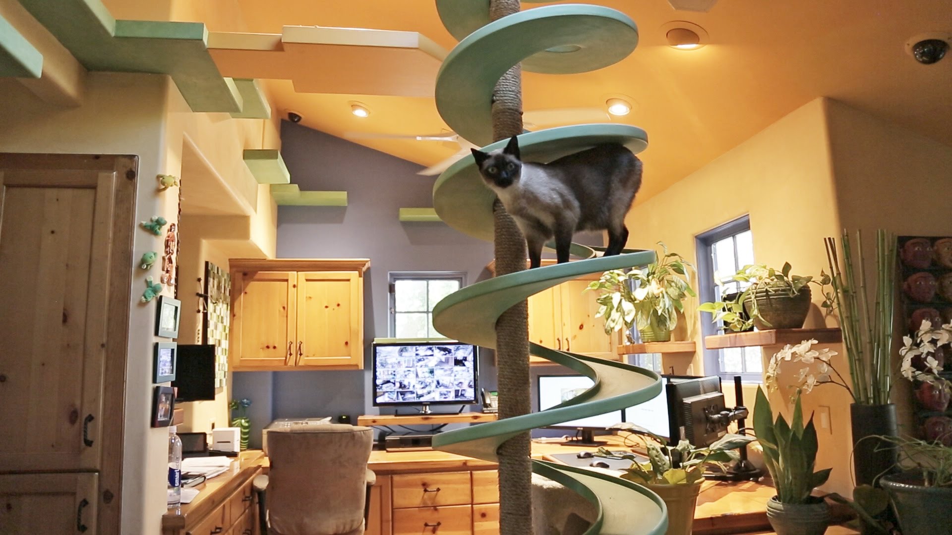 Southern California Home Builder Turns His House Into an Amazing ...
