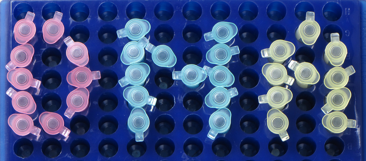 United Kingdom House of Commons Votes to Allow Creation of Babies With ...