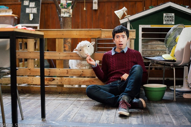 The First 'Sheep Cafe' Opens in Seoul, South Korea During the Year of ...