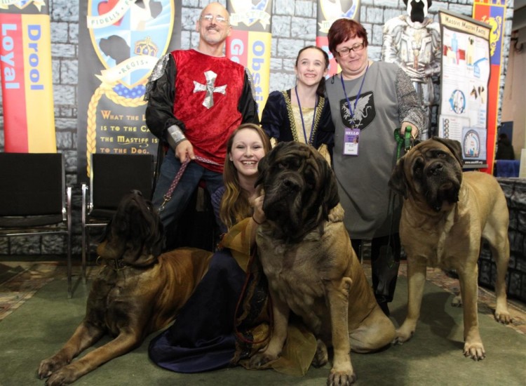 'Meet the Breeds', Dogs and Humans Dress Up in Coordinating Outfits at ...