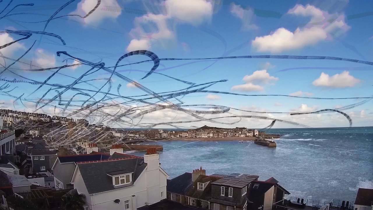 An Experimental Video That Visualizes Seagull Flight Paths as Unending ...