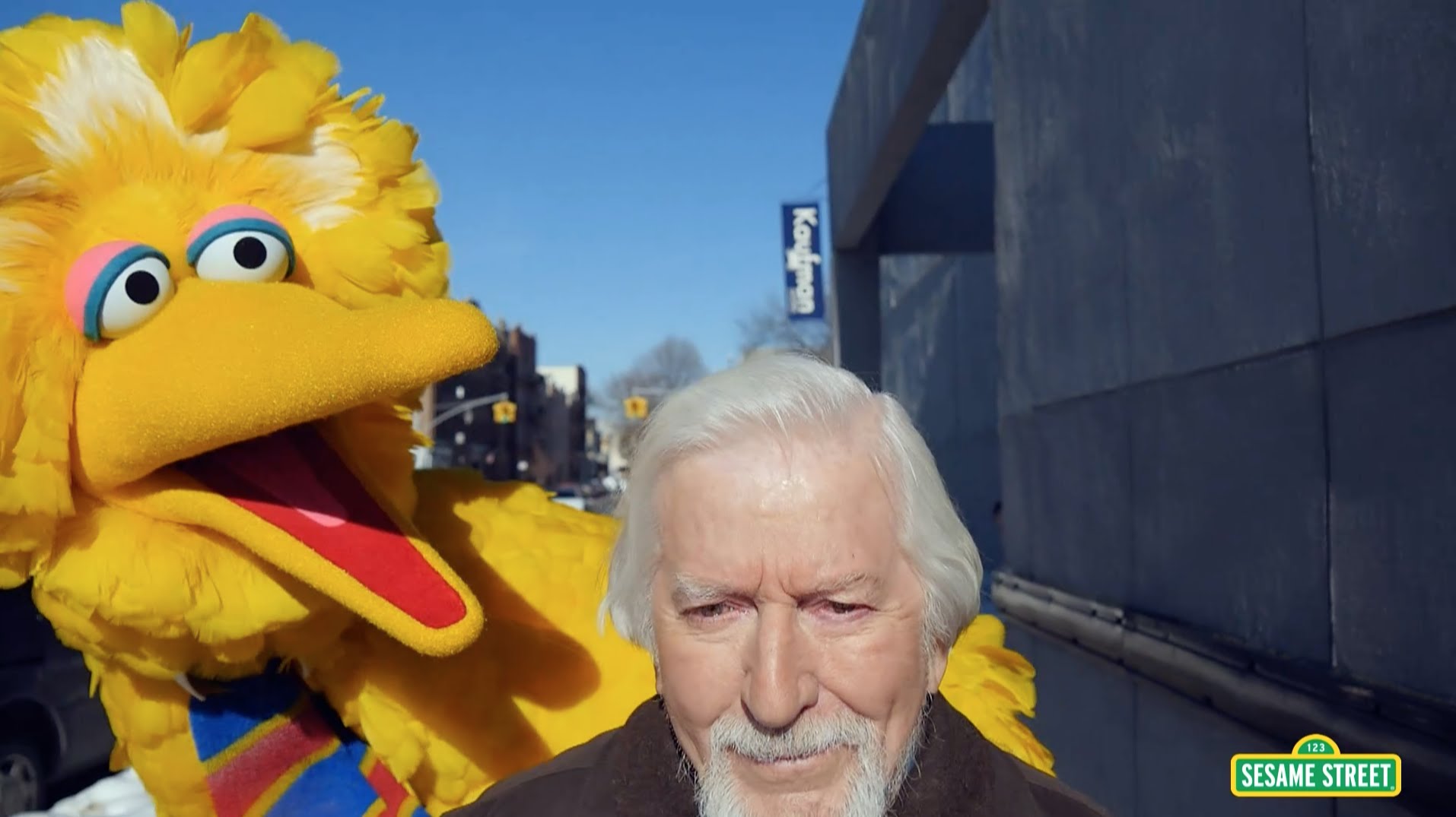 'Big Birdman', A Touching 'Sesame Street' Parody of the Film 'Birdman ...