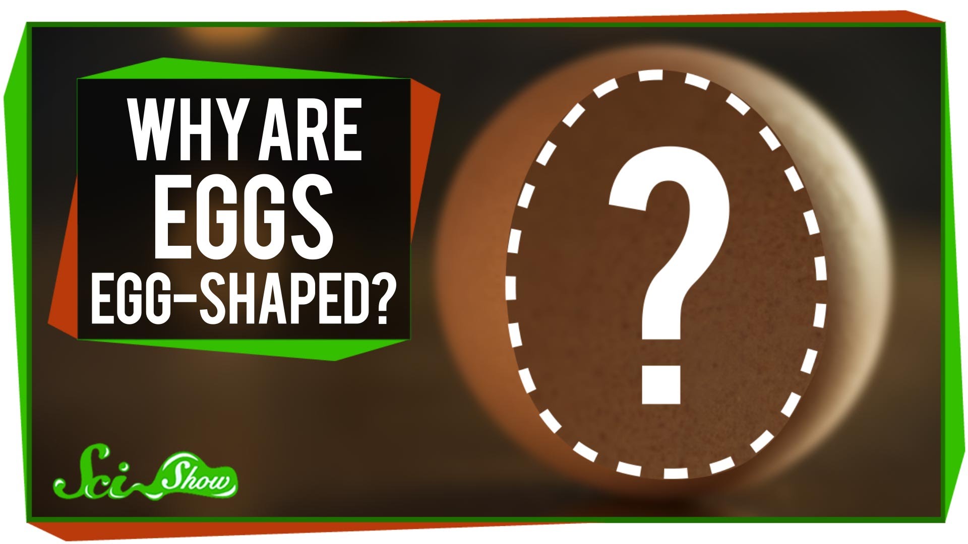 SciShow Explains Two Possible Reasons Why Eggs Are Egg-Shaped