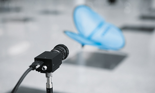 Autonomous Robotic Ants and Butterflies Designed to Operate in ...